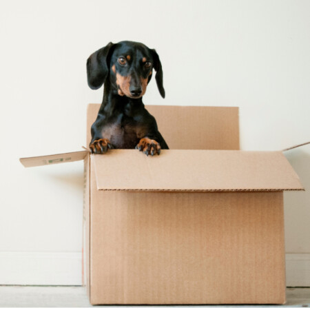 Produktverpackungen - günstig auf B2Markt kaufen